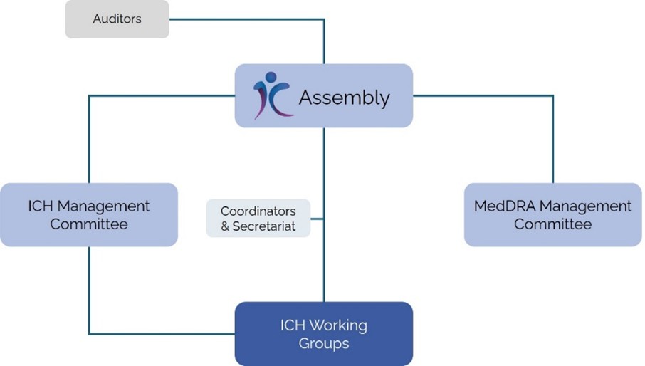 Harmonizing Health: How ICH Guidelines Regulate Pharma - Emtex Life Science